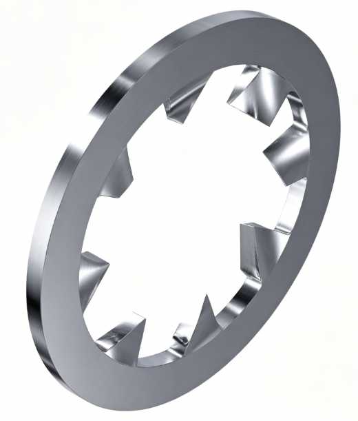 Internal-Tooth Lock Washers | LILY Bearing