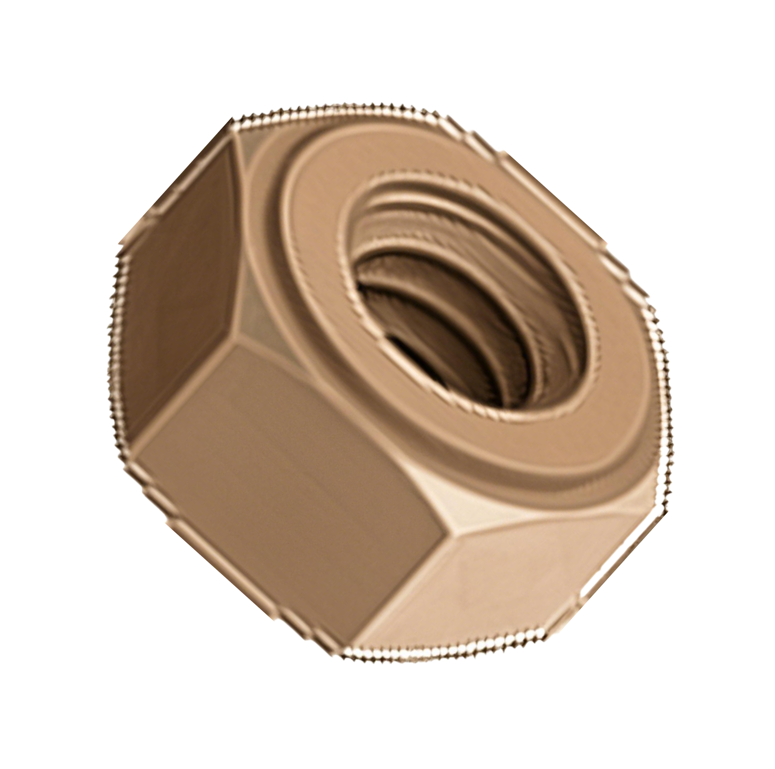 Chemical-Resistant Polypropylene Hex Nuts | LILY Bearing
