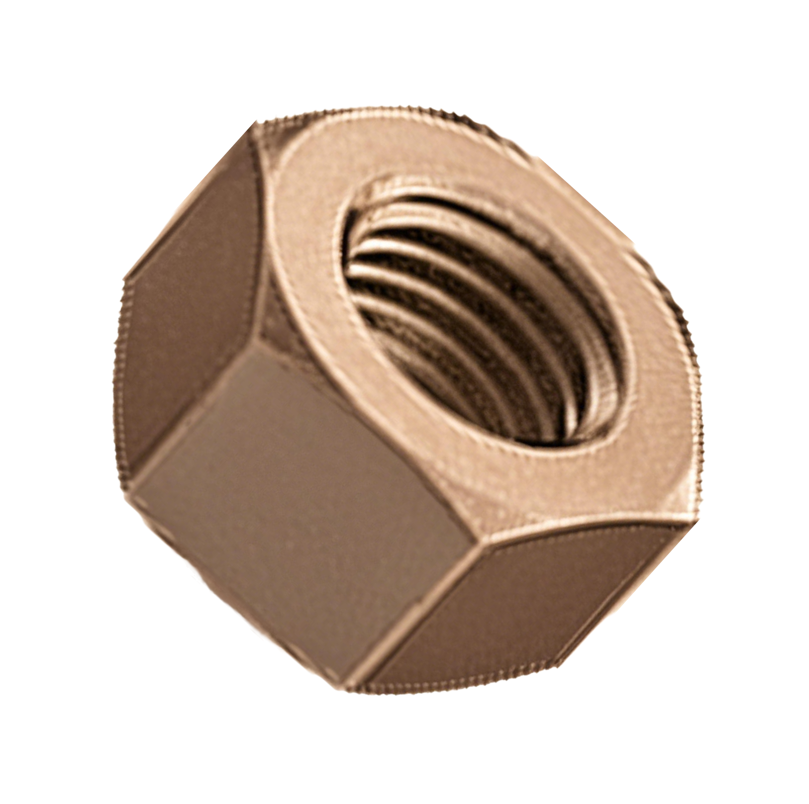 Super-Corrosion-Resistant 316 Stainless Steel Hex Nuts | LILY Bearing