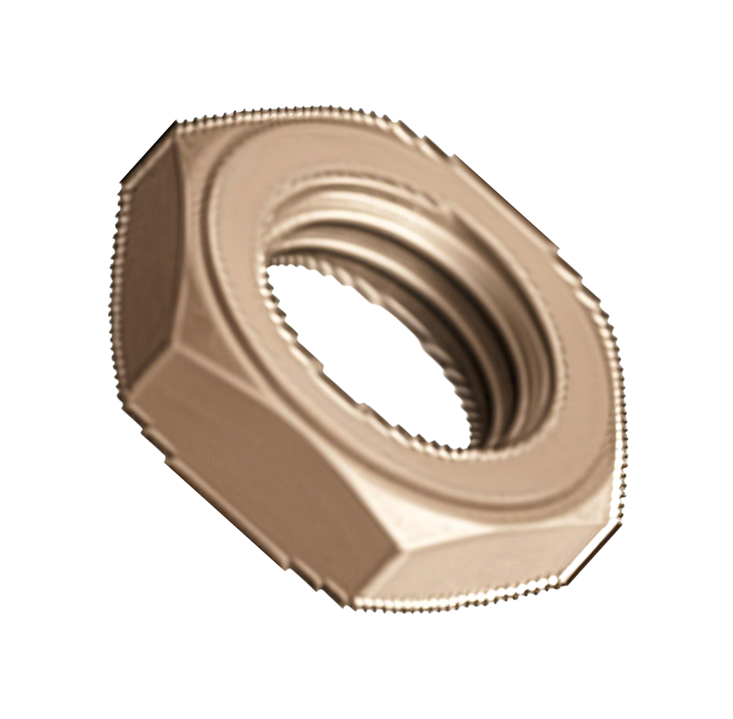 Plastic Thin Hex Nuts | LILY Bearing