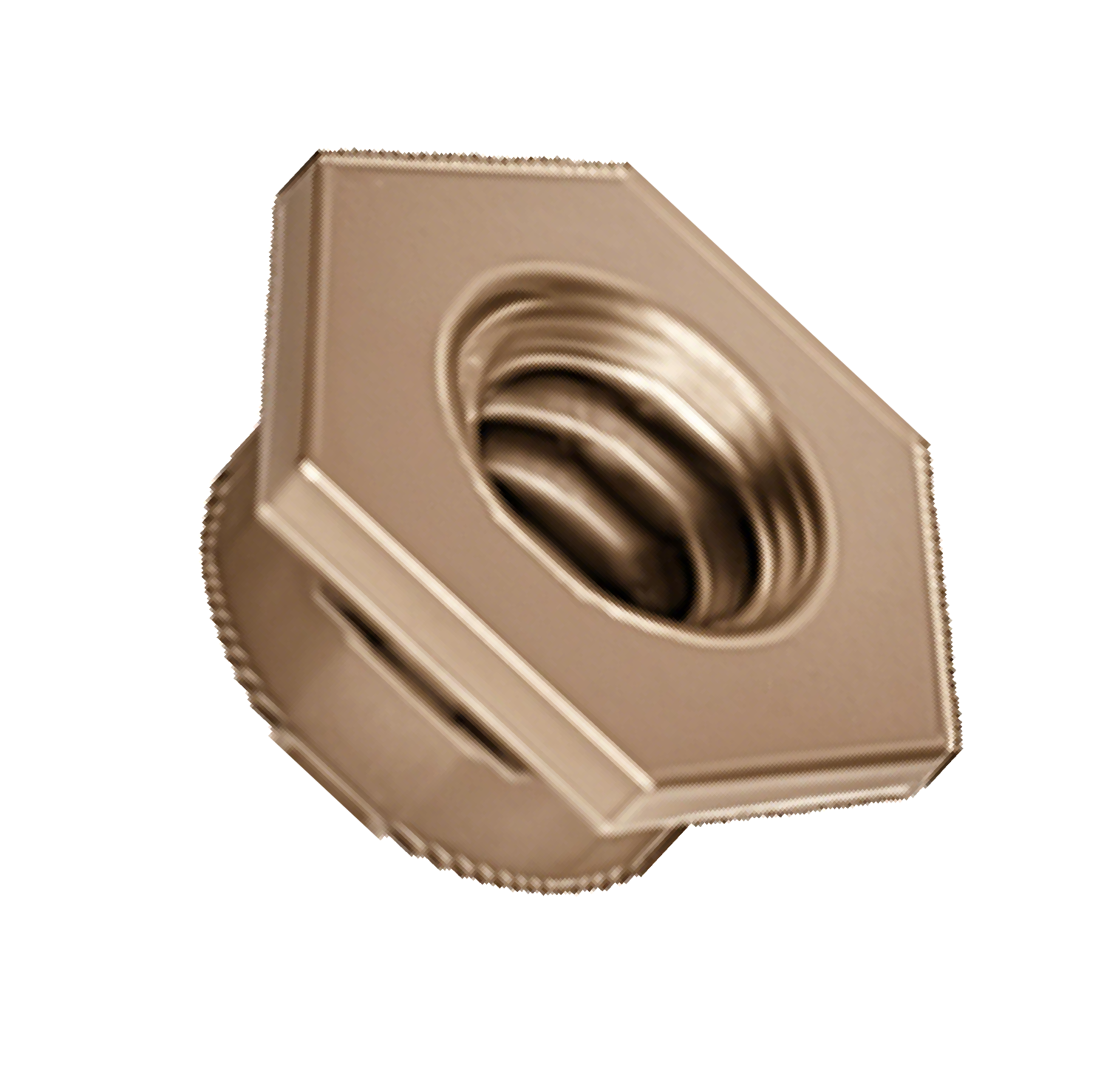 Nuts | LILY Bearing